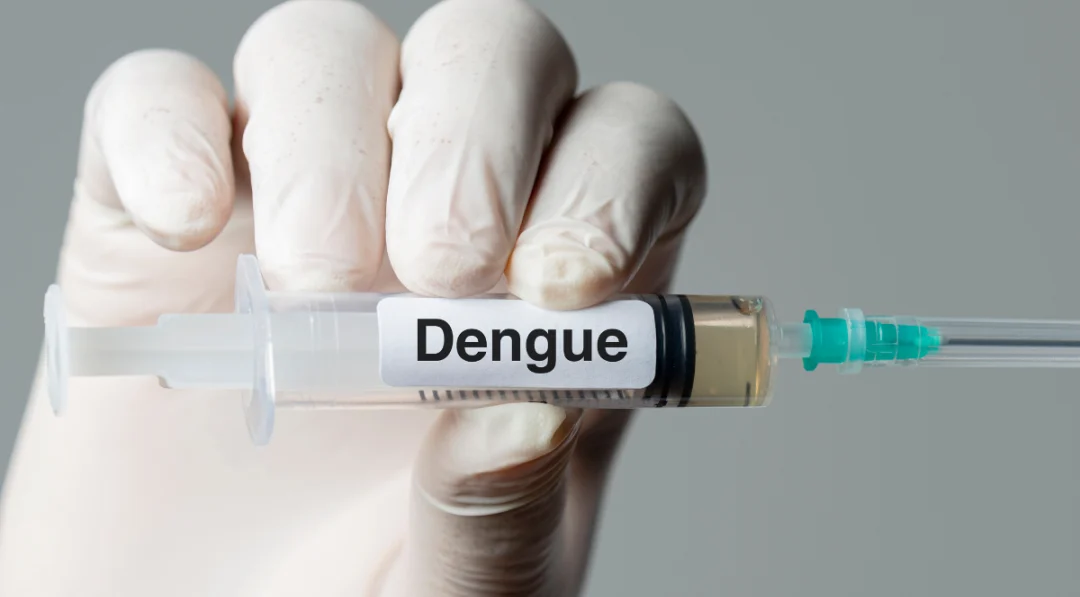 Protect yourself against Dengue: tips and advice - Vaccination Point